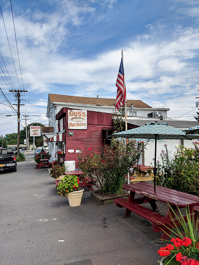 Step back in time at Gus's Hotdogs! This charming red shack is serving up slices of Americana with a side of nostalgia.