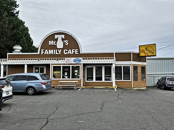 Welcome to carb heaven! Mr T's Family Cafe stands proud, a beacon of comfort food in Mount Vernon. It's like your grandma's house, if grandma could feed an army. 