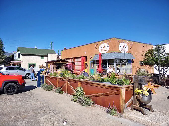 Welcome to carb heaven! This rustic exterior hides a world of buttery, flaky delights that would make even the Keto Police reconsider their life choices.