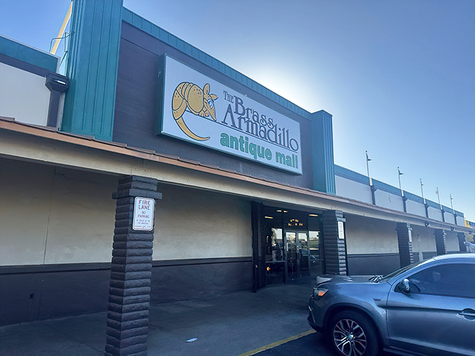Welcome to the Brass Armadillo, where time travel is just a shopping trip away! This unassuming exterior hides a treasure trove of nostalgia and quirky finds.