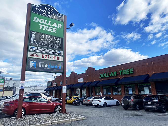 Welcome to the land of endless possibilities, where your dollar stretches further than Elastigirl! This brick-faced beauty beckons bargain hunters with its siren song of savings.