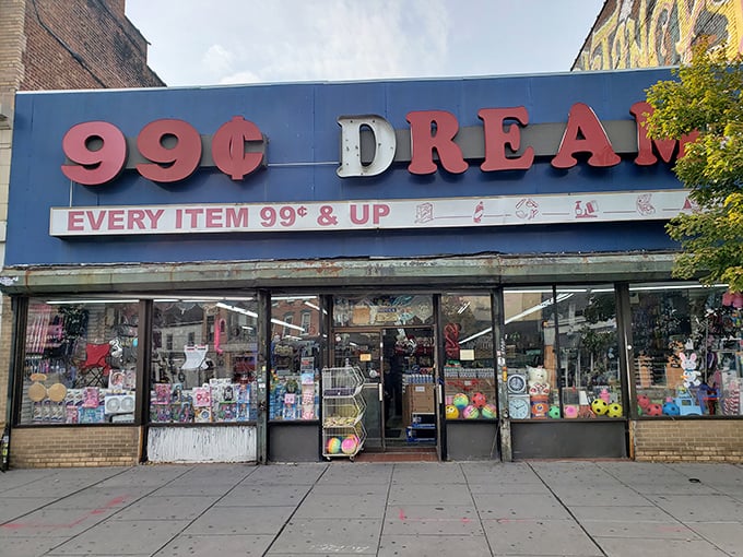 Welcome to 99&cent; Dream, where your pocket change becomes a golden ticket to retail therapy. Even the dog knows a good deal when he sees one!