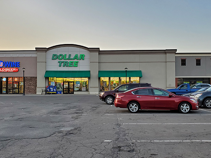 The emerald beacon of bargains stands proud on Wilkes Barre Township Boulevard, promising treasures that won't pillage your wallet.