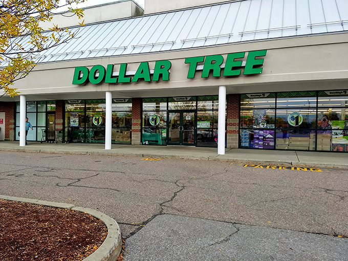 The iconic green Dollar Tree sign beckons like a budget-friendly lighthouse guiding thrifty Vermonters safely to shore.