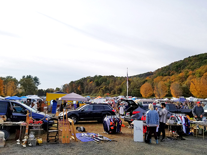 A sea of treasures awaits! Colorful tents and eager bargain hunters dot the landscape, promising a day of discovery and delight at the Elephant's Trunk Flea Market.