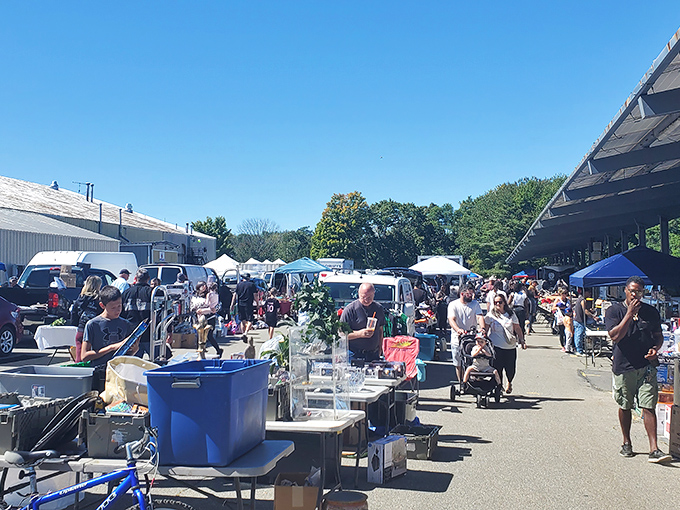 Welcome to the treasure hunter's paradise! Raynham Flea Market's outdoor area is a sea of pop-up tents and endless possibilities.