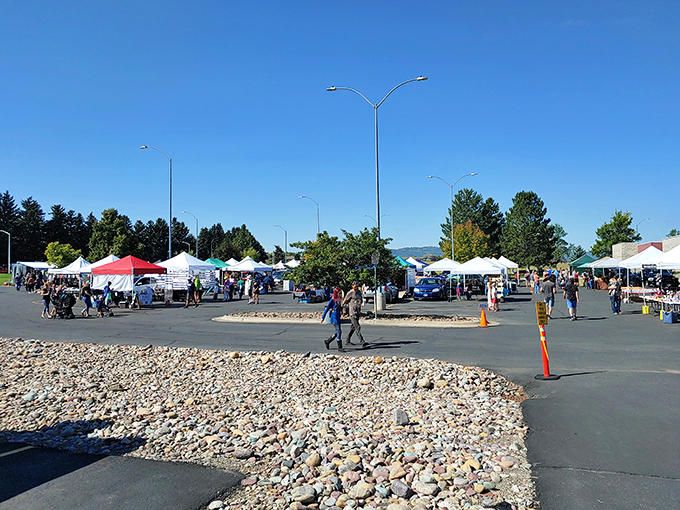 A sea of colorful tents stretches out under Montana's big sky. It's like a rainbow decided to have a yard sale, and everyone's invited!