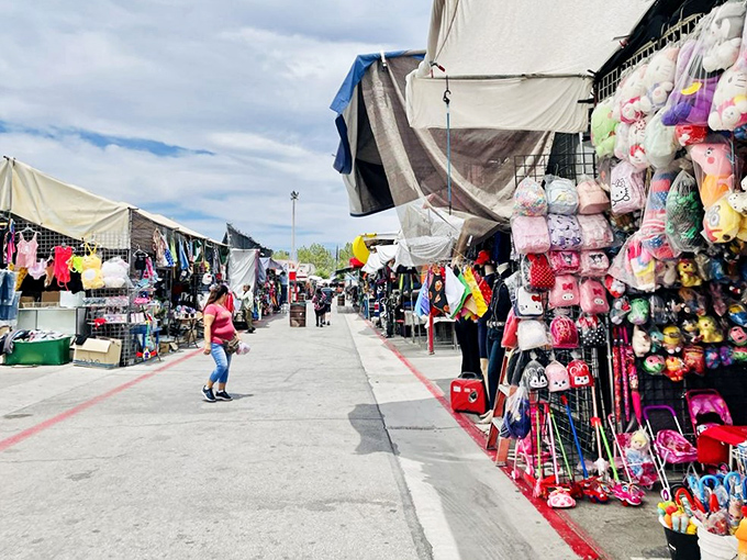Step into a world where bargains and curiosities collide! This bustling aisle is like a treasure hunt come to life, with everything from funky fashion to kitchen gadgets galore.