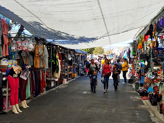 Step into a world where bargains and curiosities collide! This bustling aisle is like a treasure hunt come to life, with everything from funky fashion to kitchen gadgets galore. 