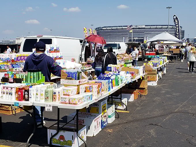 Welcome to the bargain hunter's paradise! The New Meadowlands Flea Market sprawls across the parking lot, a sea of potential treasures waiting to be discovered.