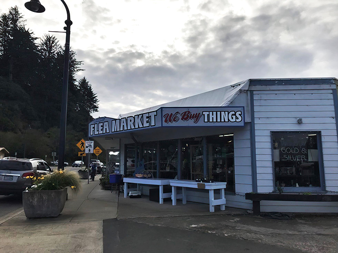 "We Buy THINGS" - a siren call for treasure hunters. This unassuming exterior hides a labyrinth of wonders waiting to be discovered.