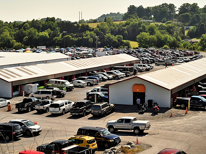The sprawling Tri-Cities Flea Market awaits treasure hunters with its massive parking lot&mdash;a telltale sign you've arrived somewhere special.