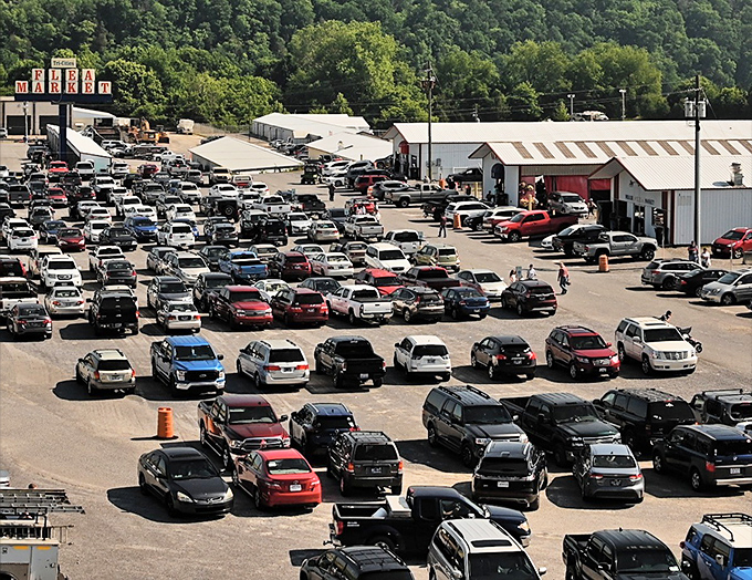 The sprawling Tri-Cities Flea Market awaits treasure hunters with its massive parking lot&mdash;a telltale sign you've arrived somewhere special. 