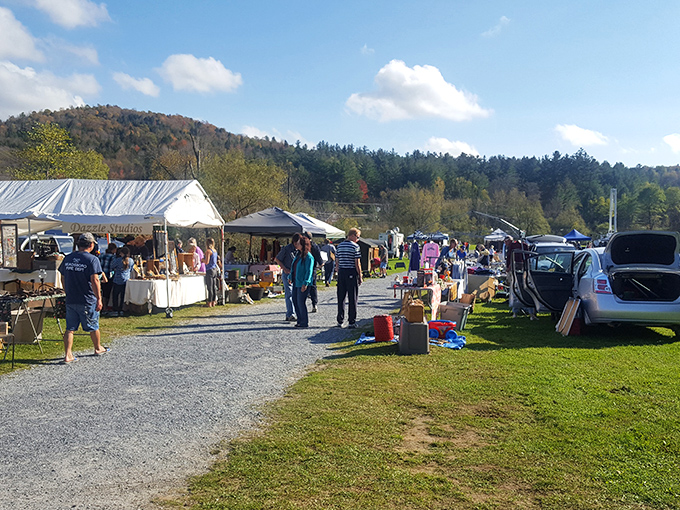 Vermont's treasure hunting paradise unfolds beneath mountain views, where each gravel path leads to undiscovered gems waiting for their forever homes.