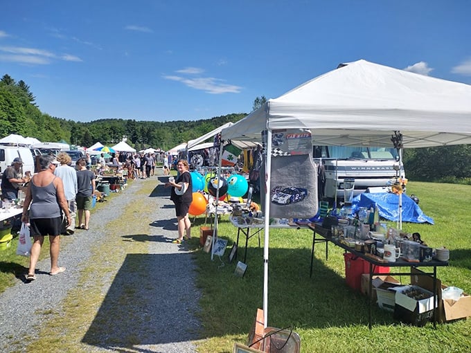 Vermont's treasure hunting paradise unfolds beneath mountain views, where each gravel path leads to undiscovered gems waiting for their forever homes.