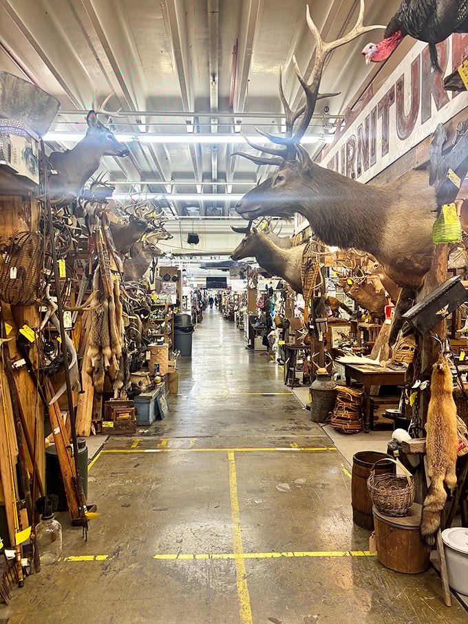 The unassuming exterior hides a treasure trove within&mdash;like finding out your quiet neighbor was once in a rock band.