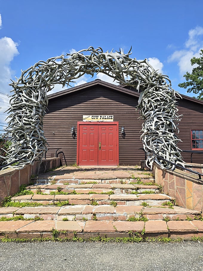 Welcome to the Cow Palace, where antlers aren't just decorations &ndash; they're a way of life! This entrance arch is like a bovine Stonehenge, beckoning you to a world of rustic charm and hearty eats.