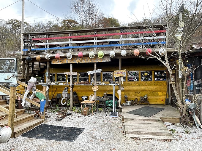 Welcome to Hillbilly Hot Dog heaven! This rustic roadside attraction is where gourmet meets gravel, and every bite tells a deliciously quirky story.