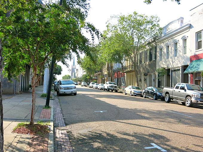 Natchez Mississippi: Where time stands still and soda jerks are still a thing. Step into this 1820s gem for a fizzy trip down memory lane.