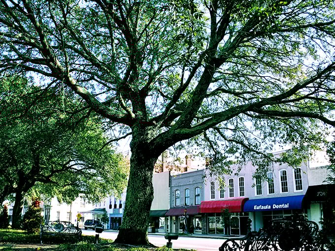 Stroll down memory lane! Eufaula's main street is like a time capsule, where Southern charm meets small-town Americana. It's Mayberry with a dash of Savannah.