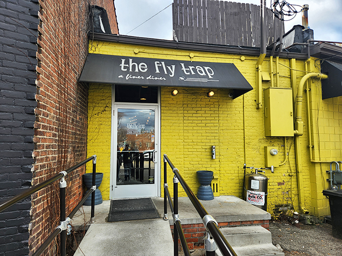 A beacon of breakfast bliss! The Fly Trap's sunny exterior promises a culinary adventure that'll make your taste buds do the cha-cha.