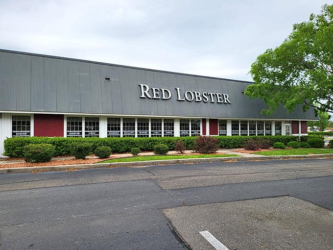 Ahoy, seafood lovers! Red Lobster stands tall, a beacon of buttery hope in Monroe's culinary landscape. It's like the Statue of Liberty, but for crustacean enthusiasts.