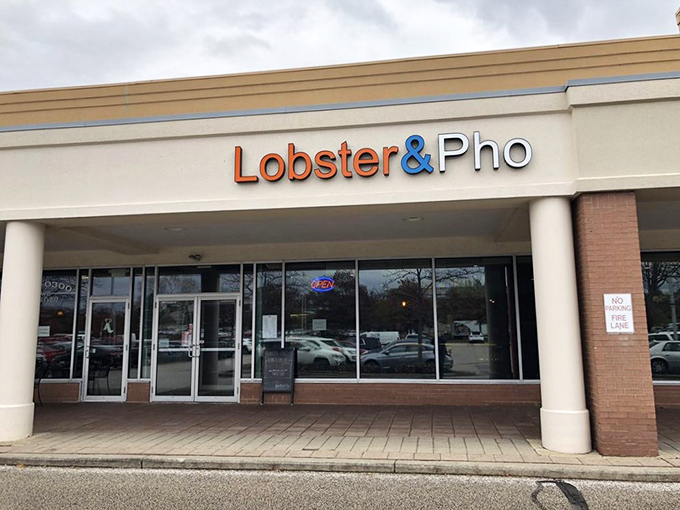 "Lobster & Pho" - where surf meets turf in the most delicious East-meets-Midwest mashup you never knew you needed. Prepare for a flavor adventure!