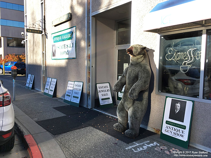 Unassuming on the outside, bursting with treasures within. This time capsule of curiosities might just swallow you whole &ndash; in the best way possible!