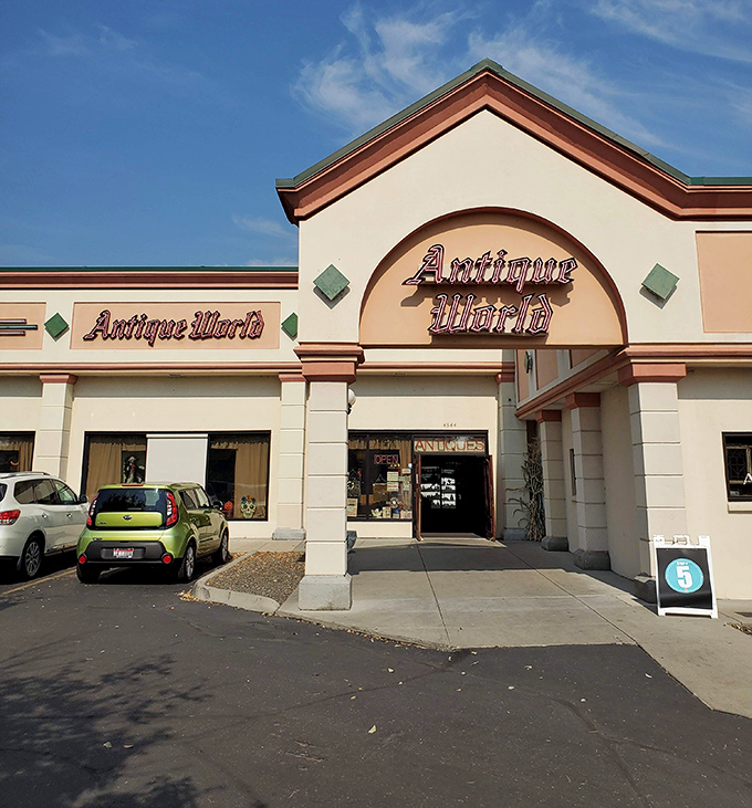 Welcome to Antique World, where time travel is just a doorway away! Step into this treasure trove and prepare for a journey through the ages. 