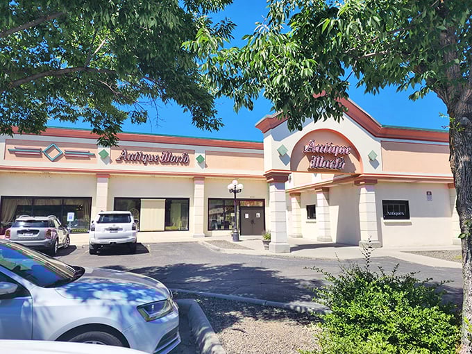 Welcome to Antique World, where time travel is just a doorway away! Step into this treasure trove and prepare for a journey through the ages.