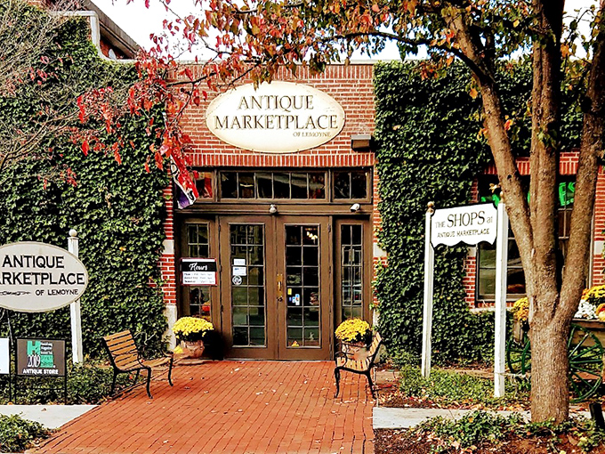 Step into a time machine disguised as a brick building! This ivy-covered facade hides a treasure trove of memories waiting to be rediscovered.