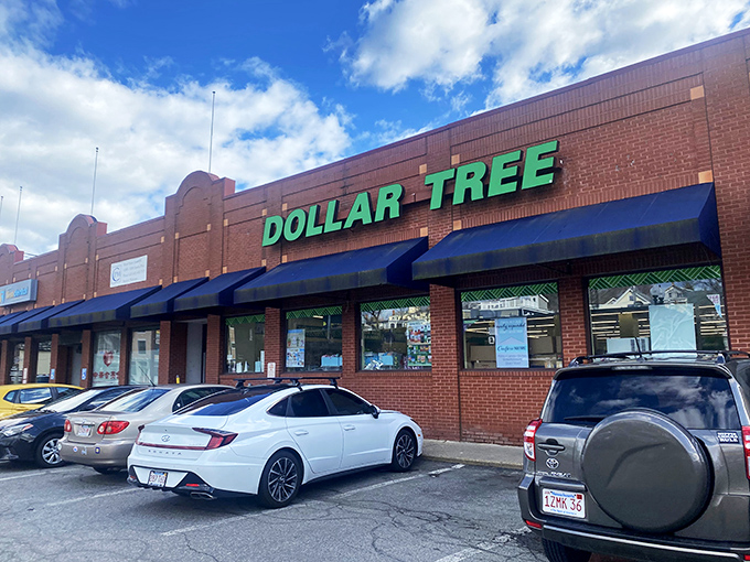 Welcome to the land of endless possibilities, where your dollar stretches further than Elastigirl! This brick-faced beauty beckons bargain hunters with its siren song of savings.