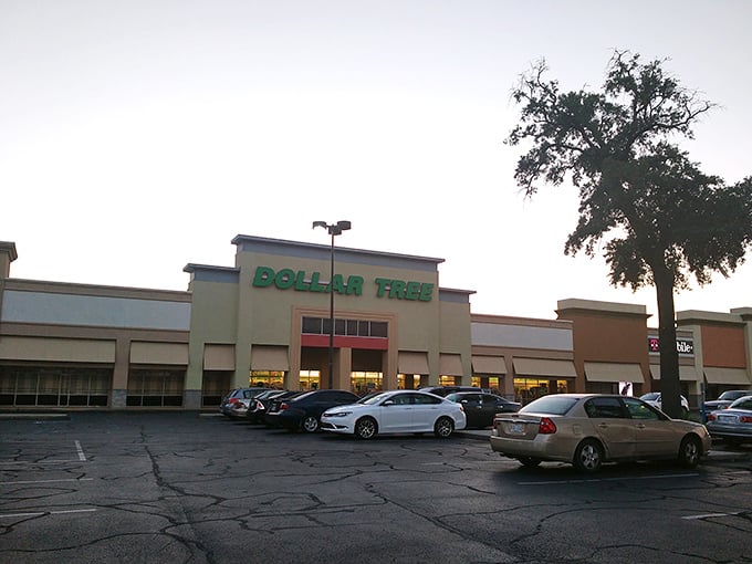 Welcome to the land of endless possibilities, where your wallet breathes a sigh of relief. This unassuming storefront hides a treasure trove of bargains waiting to be discovered. 