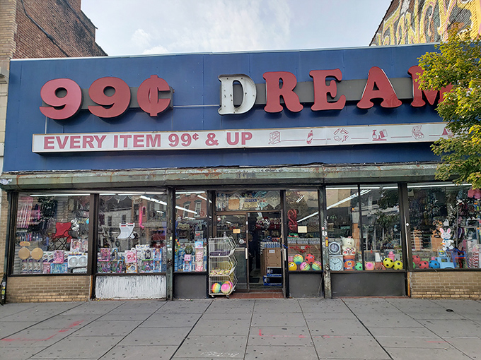 Welcome to 99&cent; Dream, where your pocket change becomes a golden ticket to retail therapy. Even the dog knows a good deal when he sees one!