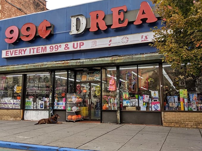 Welcome to 99&cent; Dream, where your pocket change becomes a golden ticket to retail therapy. Even the dog knows a good deal when he sees one!