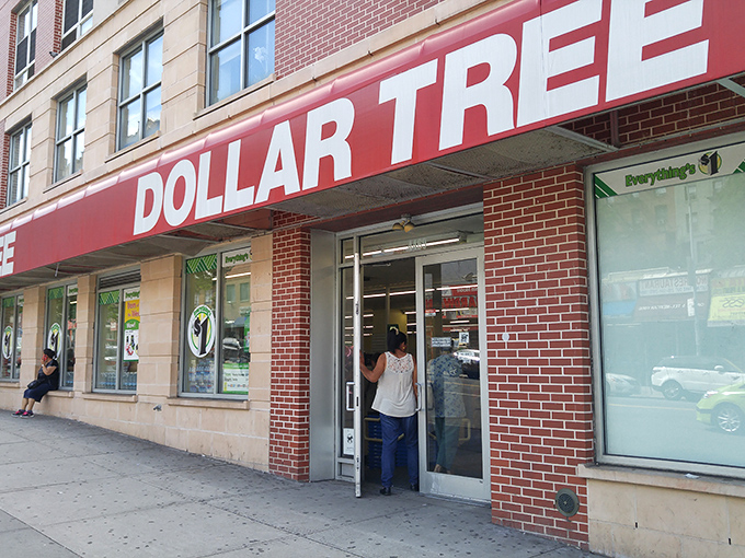 The iconic red signage of Dollar Tree on Broadway beckons like a financial oasis in Manhattan's desert of high prices.