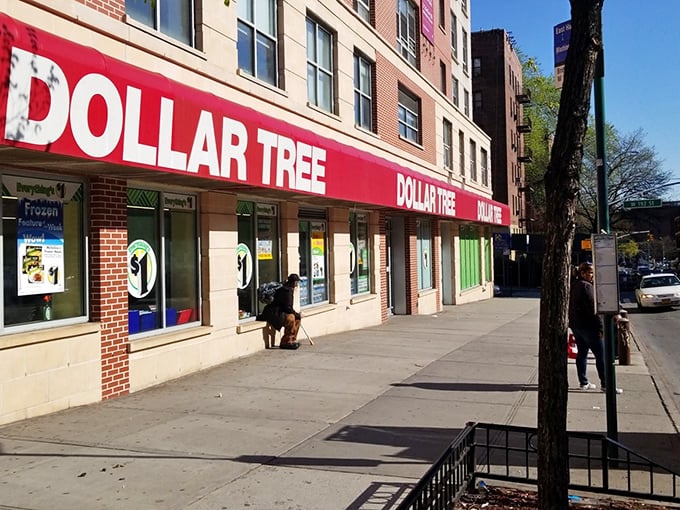 The iconic red signage of Dollar Tree on Broadway beckons like a financial oasis in Manhattan's desert of high prices.