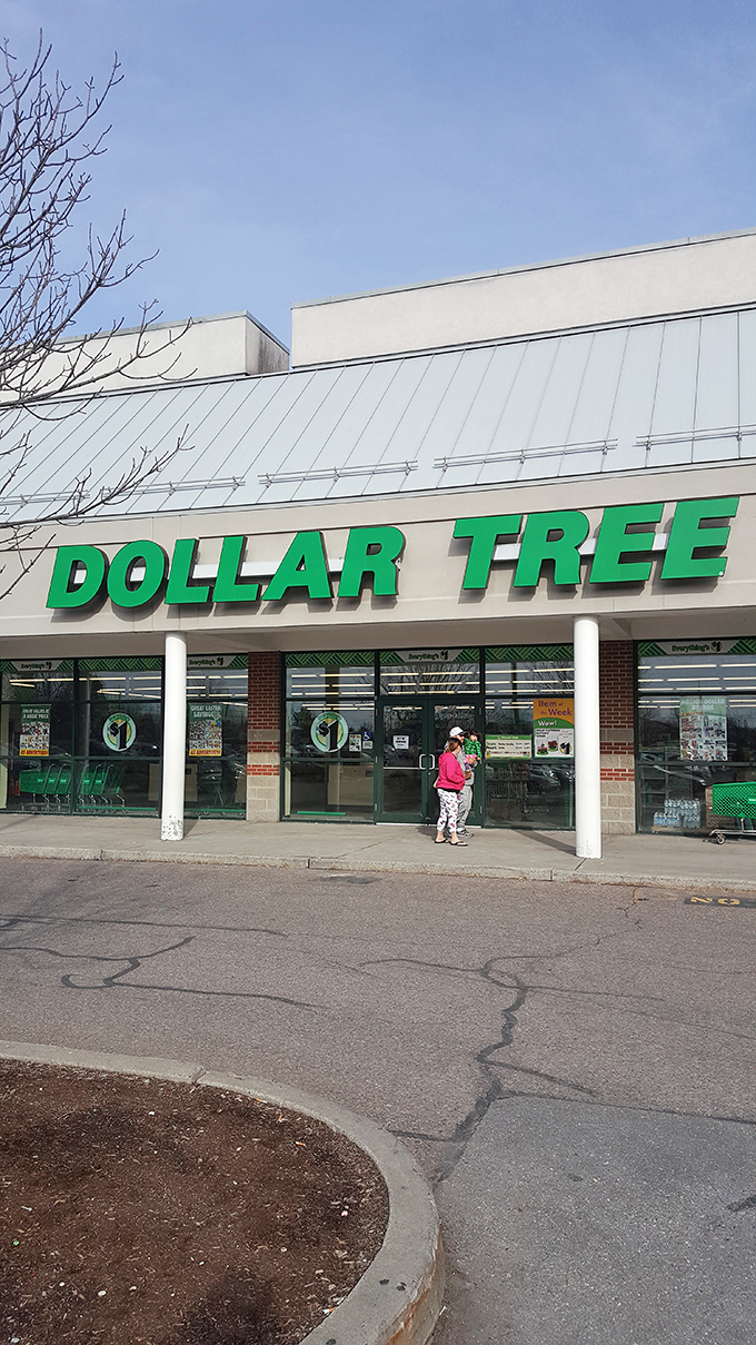 The iconic green Dollar Tree sign beckons like a budget-friendly lighthouse guiding thrifty Vermonters safely to shore.