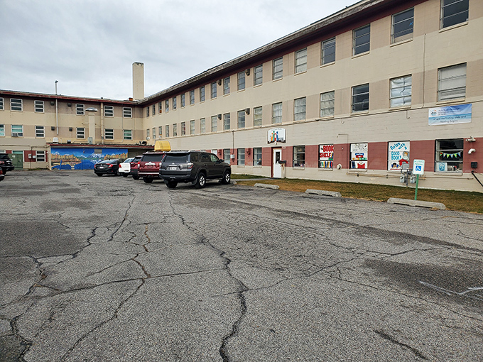 Who knew literary paradise could be found in a beige building? The Book Shelf's unassuming exterior hides a world of wonder within.