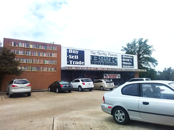 Welcome to The Thrifty Peanut, where books go to find their forever homes! This literary wonderland is like Willy Wonka's factory, but for bookworms.