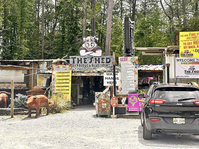 Welcome to barbecue wonderland! The Shed's exterior is a delightful mishmash of signs, statues, and Southern charm that'll make you grin before you even step inside.