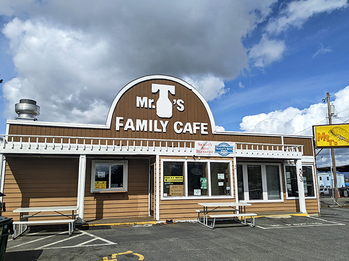 Welcome to carb heaven! Mr T's Family Cafe stands proud, a beacon of comfort food in Mount Vernon. It's like your grandma's house, if grandma could feed an army.
