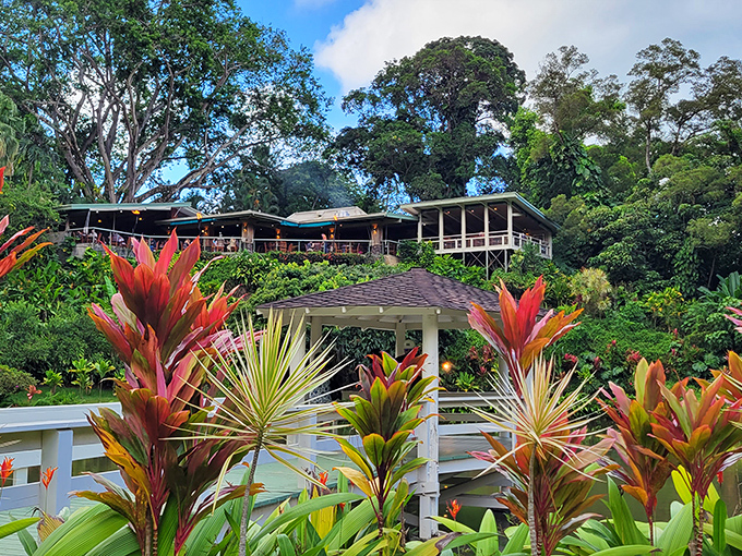 Welcome to paradise! Haleiwa Joe's Haiku Gardens isn't just a restaurant; it's a tropical escape perched above a lush Hawaiian wonderland.