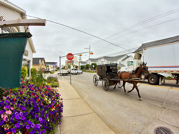 Welcome to Shipshewana, where time slows down and appetites rev up! This charming main street is like a buffet of quaint shops and eateries, each one more tempting than the last.