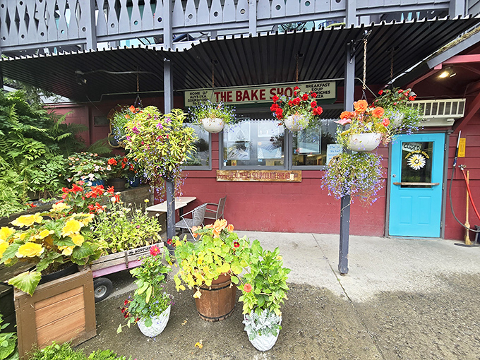 A feast for the eyes and the stomach! The Bake Shop's exterior is as inviting as grandma's kitchen, with a splash of Alaskan charm.