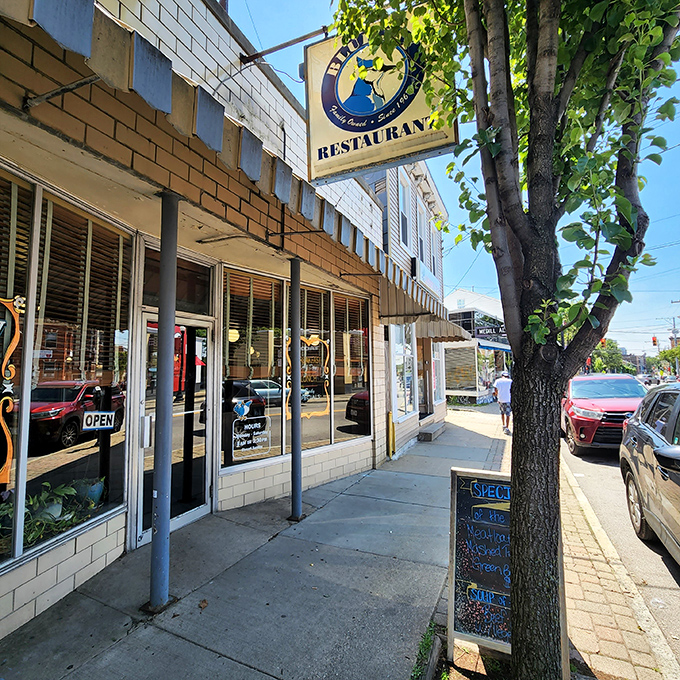 A blue jay's nest of culinary delights! This unassuming storefront holds more flavor than a season of Top Chef.
