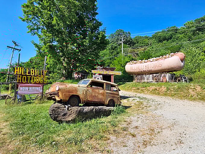 Welcome to Hillbilly Hot Dog heaven! This rustic roadside attraction is where gourmet meets gravel, and every bite tells a deliciously quirky story.