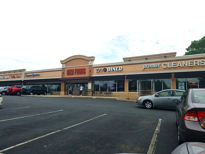 Welcome to Ze's Diner, where the 1950s never left! This unassuming strip mall hides a time machine disguised as a restaurant.