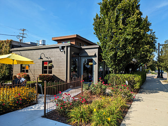 Who needs a laundromat when you can have a feast? The Laundry's exterior promises a culinary adventure that'll leave your taste buds spinning with joy.