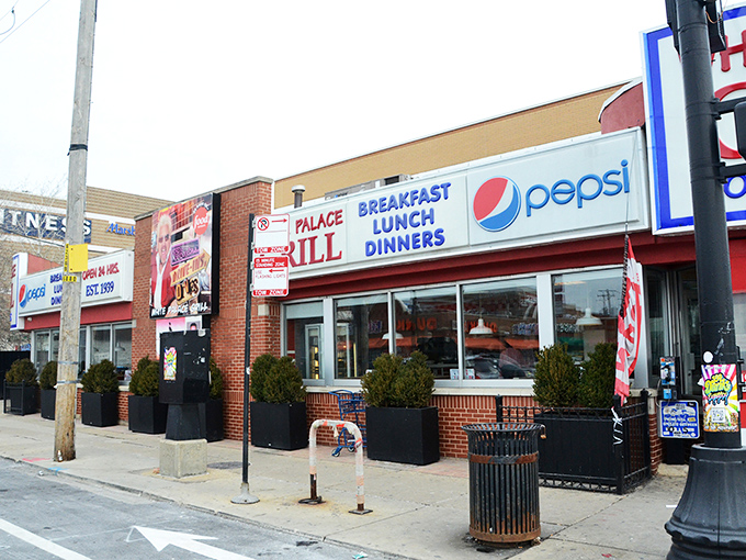 The iconic red and blue sign of White Palace Grill has been a beacon for hungry Chicagoans since 1939, promising salvation in the form of perfect diner fare.